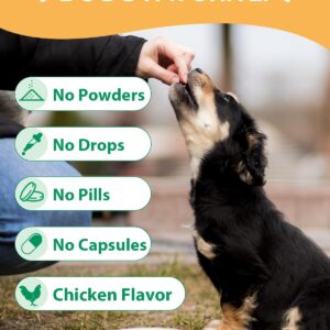 Probiotics Chews for Dogs with Prebiotic & Digestive Enzymes,Support Gut Health, Digestion, Immunity, Relief Seasonal Allergies, Diarrhea, Constipation (Chicken Flavor / 120 Chews)