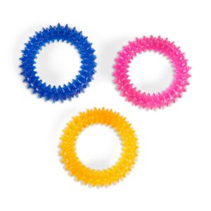 leaps & bounds spiny ring assortment dog chew toy small