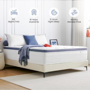 Dourxi Twin XL Mattress, 12 Inch Twin XL Hybrid Mattress in a Box with Gel Memory Foam, Individually Pocketed Springs for Support and Pressure Relief - Medium