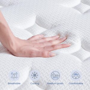 Dourxi Twin XL Mattress, 12 Inch Twin XL Hybrid Mattress in a Box with Gel Memory Foam, Individually Pocketed Springs for Support and Pressure Relief - Medium