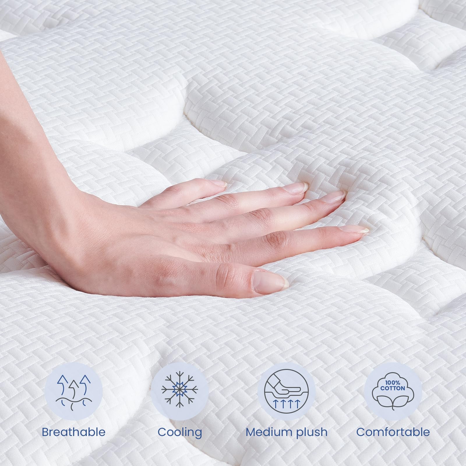 Dourxi Twin XL Mattress, 12 Inch Twin XL Hybrid Mattress in a Box with Gel Memory Foam, Individually Pocketed Springs for Support and Pressure Relief - Medium