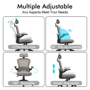 Apusen Ergonomic Office Chairs with Adjustable Lumbar Support,Mesh Desk Chair with Adjustable Arms and Wheels,Computer Desk Chair for Home Office Essentials（Headrests,Black）