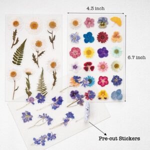 Knaid Pressed Flower Themed Stickers (Assorted 486 Pieces, 36 Sheets) Dried Floral Resin Stickers Decals Botanical Journaling Sticker for Scrapbook Supplies Junk Journal Bullet Journal Planner Laptop