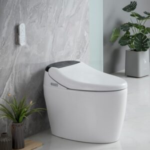 smart toilet one piece bidet toilet for bathrooms toilet,modern intelligent toilet tankless toilet with remote control and auto open & close,nightlight,power outage flushing,white + gray