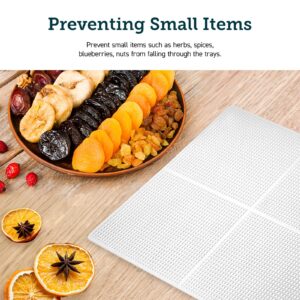 COSORI Food Dehydrator Accessories, Plastic Mesh Screens for 10 Tray CFD-P101-SUS and Other Models, BPA-Free, CFD-MS102-WUS, 2 Pack