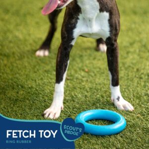 Good Scout Rubber Ring Dog Toy for Tugging & Chewing, Best Dog Toy for Fetch, Aggressive Chew Toy for Puppies & Adult Dogs, No Stuffing Dog Toy for Medium & Large Dogs