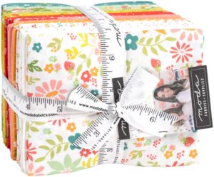 strawberry lemonade ab bundle by sherri & chelsi, 31 18-inch by 22-inch precut fabric fat quarters