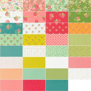 Strawberry Lemonade Layer Cake®, 42-10" Precut Fabric Quilt Squares by Sherri & Chelsi