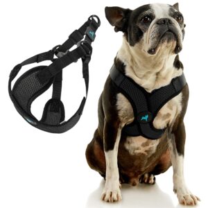 gooby comfort x step in lite dog harness - choke free, escape free with light breathable mesh - step in dog harness for small and medium dogs - quick release buckle, metal d-rings - black, large