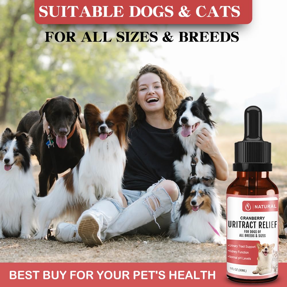 SZYCKJGS Dog UTI Treatment | Bladder Control for Dogs | Cranberry Supplement for Dogs | Pet Renal Health & UTI Care Drops | Cat Urinary Tract Infection Treatment | 1 fl oz