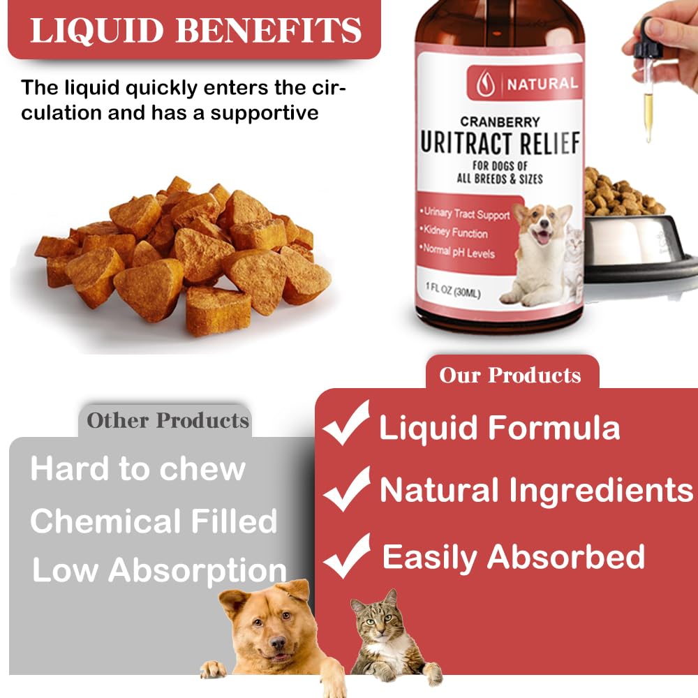 Dog UTI Treatment | Pet Renal Health & UTI Care Drops | Cranberry Supplement for Dogs | Cat Urinary Tract Infection Treatment | Bladder Control for Dogs