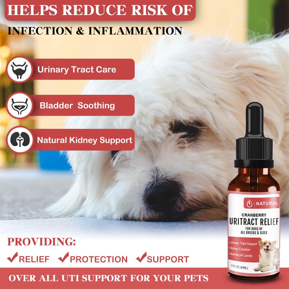 Dog UTI Treatment | Pet Renal Health & UTI Care Drops | Cranberry Supplement for Dogs | Cat Urinary Tract Infection Treatment | Bladder Control for Dogs