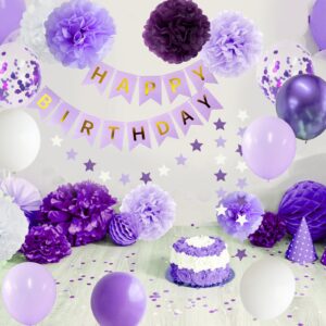 ANSOMO Purple Happy Birthday Party Decorations Dark Light Pastel Purple Lilac Violet Lavender White Tissue Paper Pom Poms Tassel Garland Banner Balloons Décor Supplies Women Girls Her