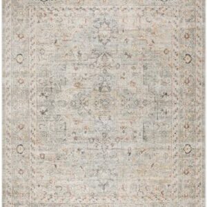 Nourison Oushak Home Traditional Light Grey 8' x 9'10" Area -Rug, Easy -Cleaning, Non Shedding, Bed Room, Living Room, Dining Room, Kitchen (8x10)