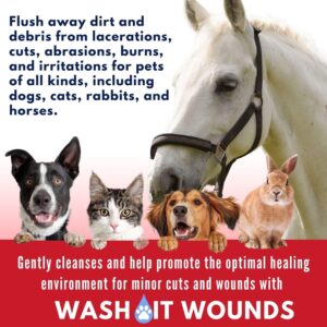 Wash-It Wound Wash for Dogs | Pet Wound Care for Dogs with Hypochlorous Acid to Clean Wounds, Cuts, Burns & Irritation & Prevents Infection | US-Made Dog Wound Care & Safe for All Animals (4oz)