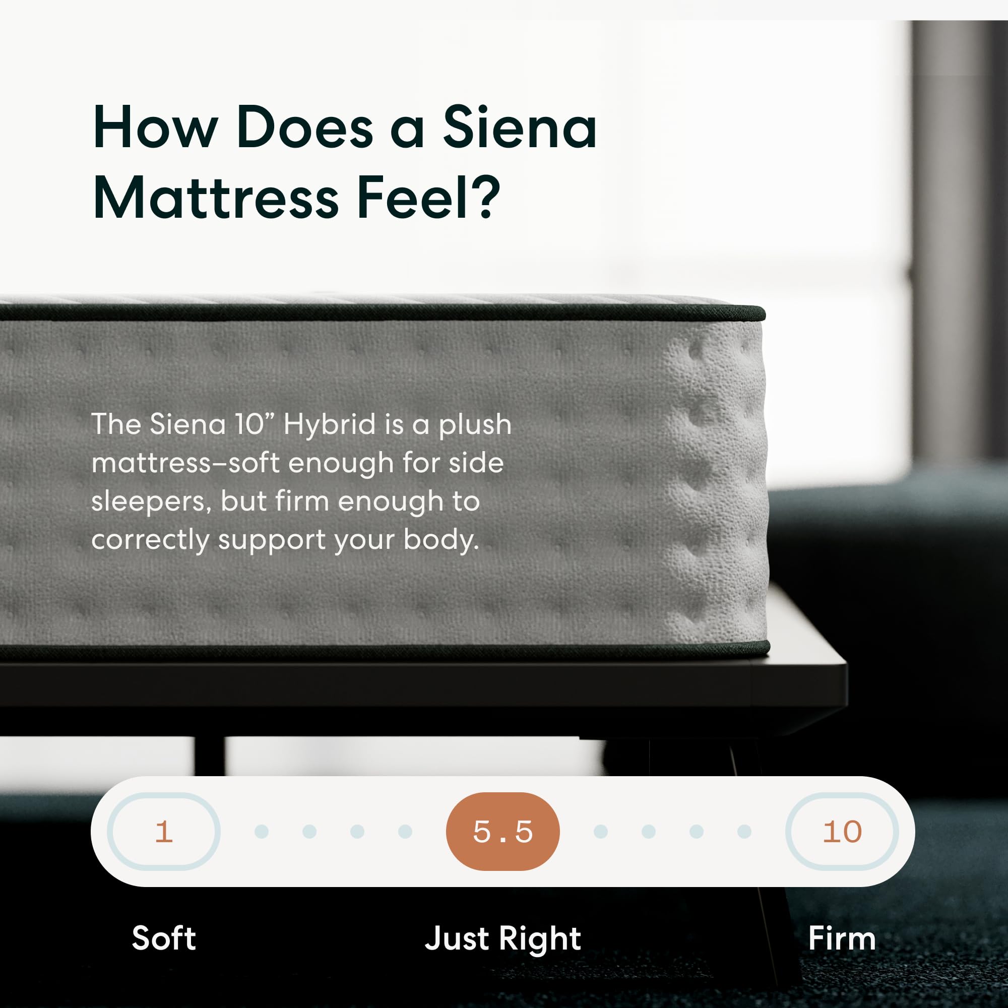 Siena 10” Cal King Hybrid Plush Mattress - Memory Foam & Innerspring System - 180 Night Trial - Premium Pressure-Relieving Layers - 10 Year Manufacturer Warranty - CertiPUR-US® Certified