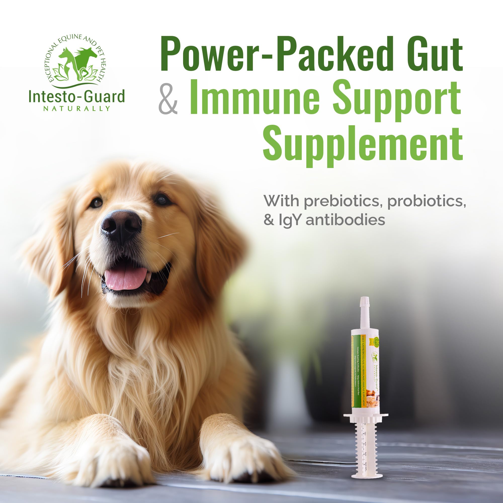 Intesto Guard Probiotics Paste 60ML/60cc Tube for Dogs & Cats Helps with Dog Diarrhea, Immune Supplements, with IgY antibodies & Made in USA