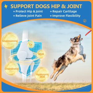 Probiotics for Dogs Digestive Health with Dog Multivitamin Powder