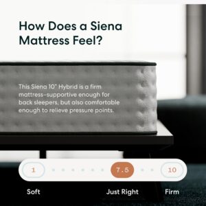 Siena 10” Queen Hybrid Firm Mattress - Memory Foam & Innerspring System - 180 Night Trial - Premium Pressure-Relieving Layers - 10 Year Manufacturer Warranty - CertiPUR-US® Certified