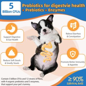 Probiotics for Dogs Digestive Health with Dog Multivitamin Powder