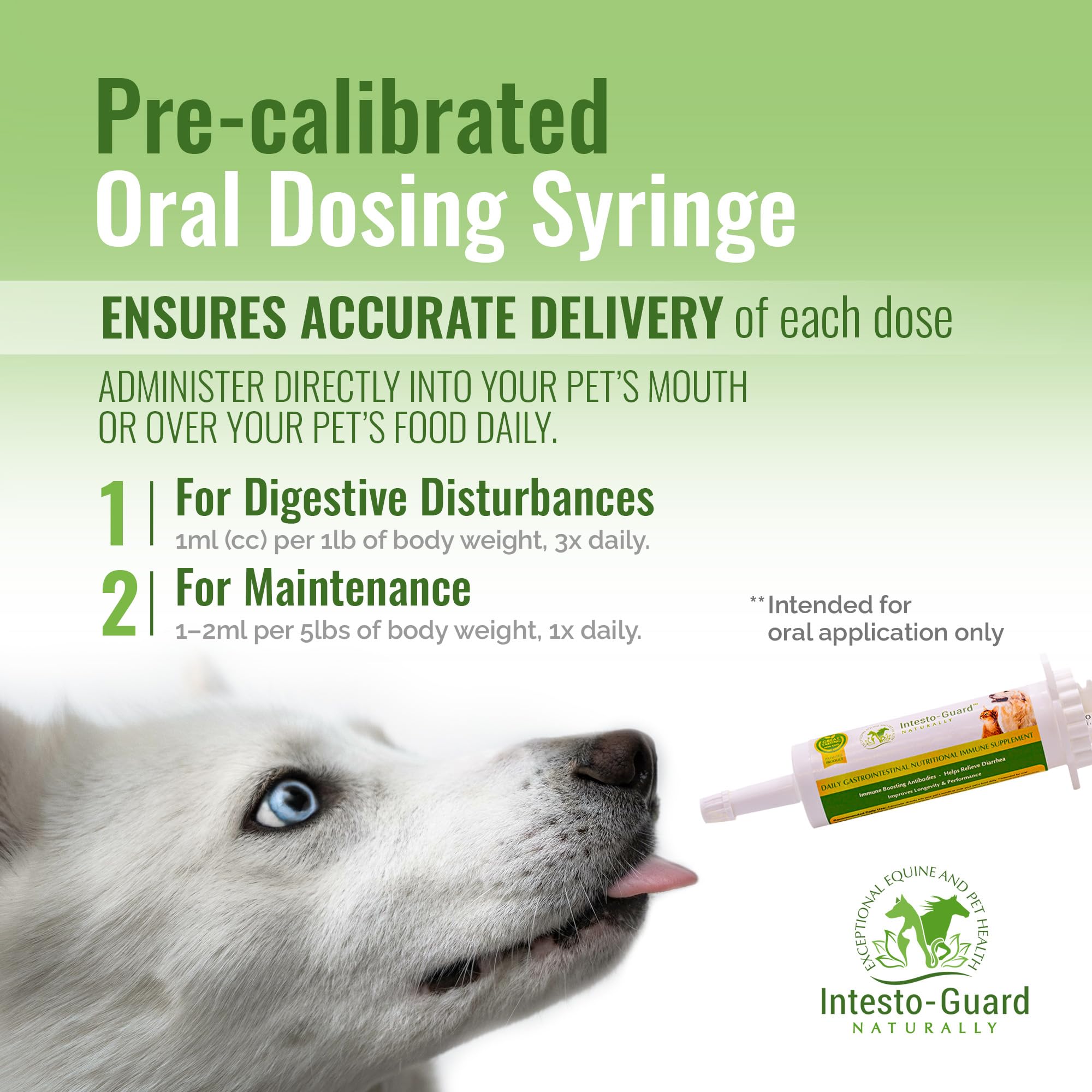 Intesto Guard Probiotics Paste 60ML/60cc Tube for Dogs & Cats Helps with Dog Diarrhea, Immune Supplements, with IgY antibodies & Made in USA