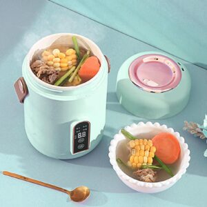 Mini Rice Cooker, Electric Stew Pot Easy To Clean Multifunction Insulated Portable Efficient Heating for Dorm for Home (Green)