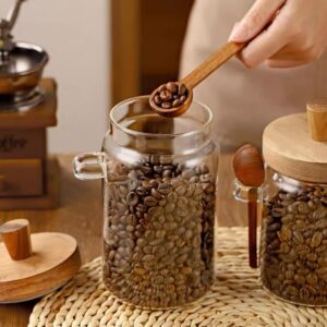 ANSQU Glass Jar with Wooden Lid & Spoon, 20.3oz Food Storage Containers Coffee Jar Coffee Grounds Container, Coffee and Food Storage Canister (1 Pack)