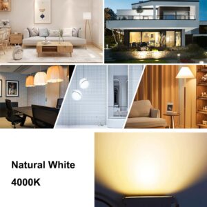 PAR20 LED Bulb 12W, Recessed Narrow Flood Light, Dimmable COB Spot Lamp (100W Halogen Equivalent), E26 Medium Base, 36 Degree Beam Angle, AC 120V, 1200 Lumens, 4000K, Pack of 2 (Natural White)