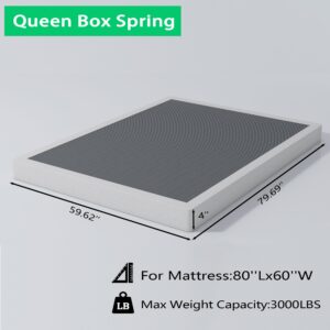 Vaciwe Queen Box Spring 4 Inch Heavy Duty Metal Box Springs Mattress Foundation with Easy Clean Cover, Noise Free, Easy Assembly