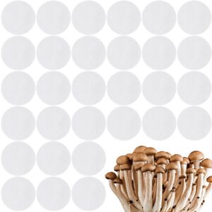 frienda 30 pieces synthetic filter paper stickers 0.3 μm synthetic filter disc wide mouth circular adhesive filter patch sticker for mushroom cultivation wide mouth jar lids mason jars (2.28 inch)