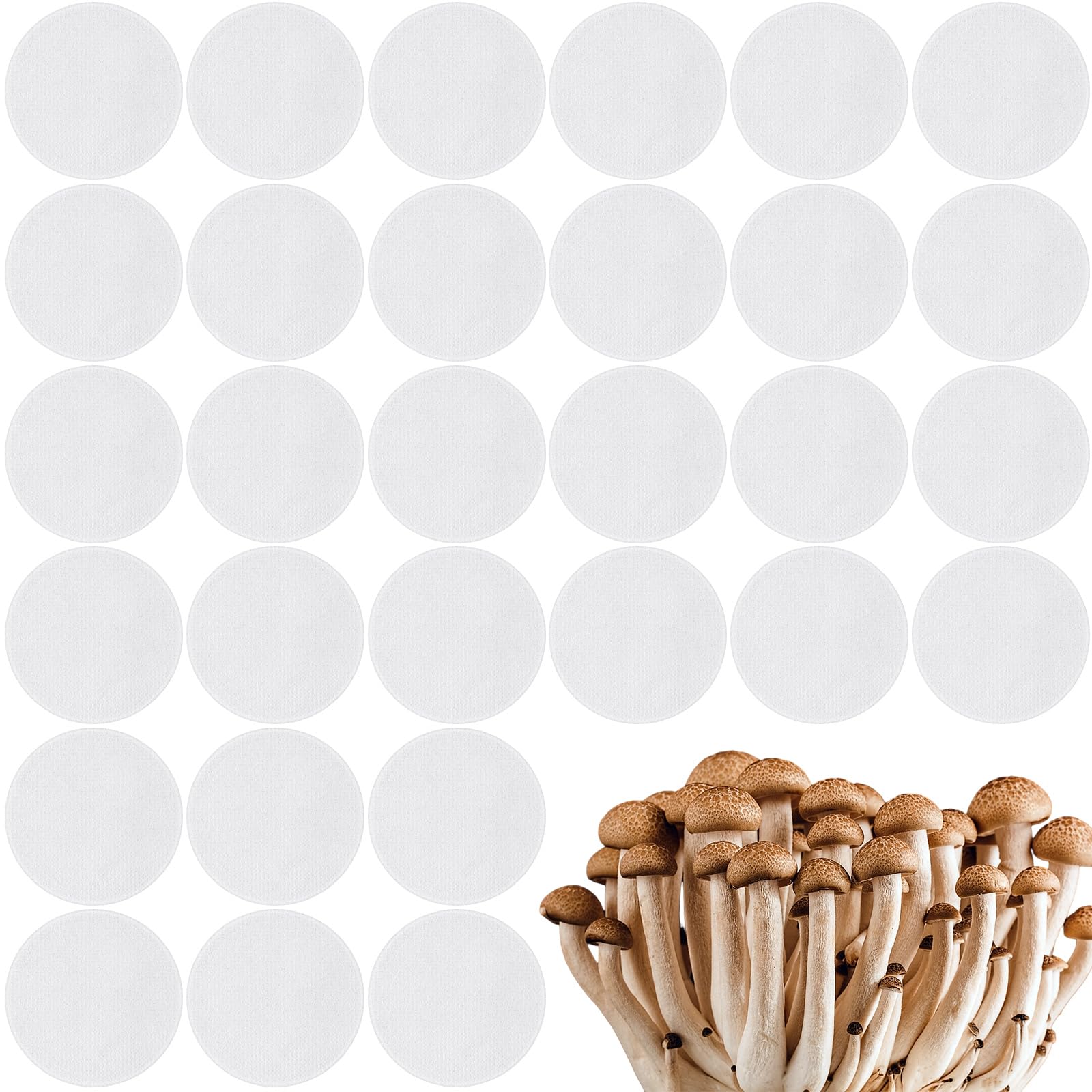 Frienda 30 Pieces Synthetic Filter Paper Stickers 0.3 μm Synthetic Filter Disc Wide Mouth Circular Adhesive Filter Patch Sticker for Mushroom Cultivation Wide Mouth Jar Lids Mason Jars (2.28 Inch)