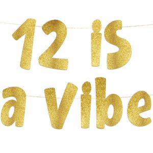 12 is a vibe gold glitter banner - 12th birthday party supplies, ideas, gifts and decorations