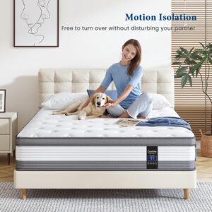 Coolvie King Mattress, 12 Inch King Size Hybrid Mattress, King Mattress in A Box, Individual Pocket Springs with Memory Foam Layer Provide Motion Isolation & Cool Sleep, 2024 New