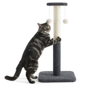 lesure 29" tall cat scratching post - premium sisal rope highly resistant carpet scratching posts for indoor cats adults, sturdy large cat scratch pole with hanging ball, grey(29 inch)