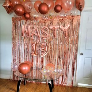 Rose Gold Nasty 19 Birthday Decoration Black Nineteenth birthday Decorations Nasty 19 Sign Funny Birthday Decoration Balloons 19 Years Old Theme Decor