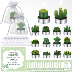 mtlee 48 sets baby shower favors include 48 succulent pumpkin shaped candles fall mini plants tea lights candles with 48 invitations cards and 48 organza bags for baby gender reveal guests(succulent)