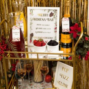 107Pcs Christmas Mimosa Bar Party Decorations Kit - Christmas Brunch Decorations, Indoor Christmas Party Decorations, Holiday Bridal Shower or Baby Shower, Bar Cart Decor, Christmas Mimosa Bar Sign