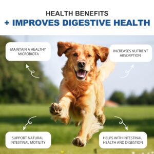 Chinichu Probiotics for Dogs - Digestive Enzymes for Gut Flora, Digestive Health, Diarrhea & Bowel Support - Dog Supplement Soft Chew for Pet Immune System - Clinically Studied DE111 - Duck Flavor