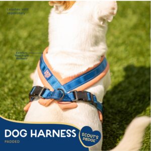 Good Scout Dog Harness Large Sized Dog, Heavy Duty Padded Dog Vest Harness, Durable Dog Body Harness, Adjustable for a Comfortable & Safe Fit, D-Ring for Quick Leash Attachment, Blue/Blush