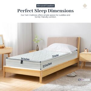 Aylas Furniture Twin Size Mattress - 12 Inch Cool Memory Foam & Spring Hybrid Mattress with Breathable Cover - Tight Top - Rolled in a Box by Oliver & Smith