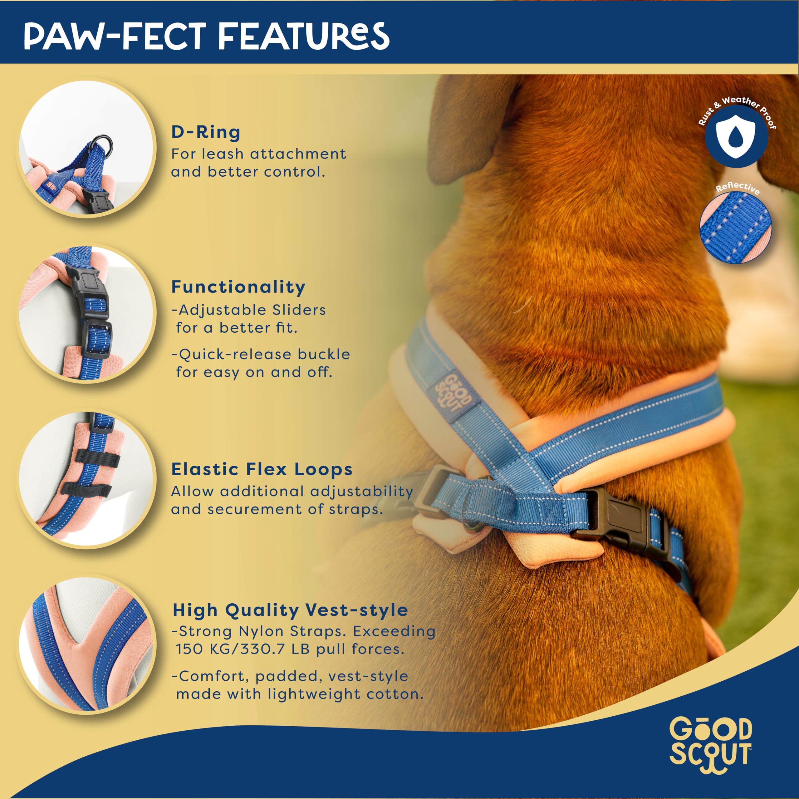 Good Scout Dog Harness Medium Sized Dog, Heavy Duty Padded Dog Vest Harness, Durable Dog Body Harness, Adjustable for a Comfortable & Safe Fit, D-Ring for Quick Leash Attachment, Blue/Blush