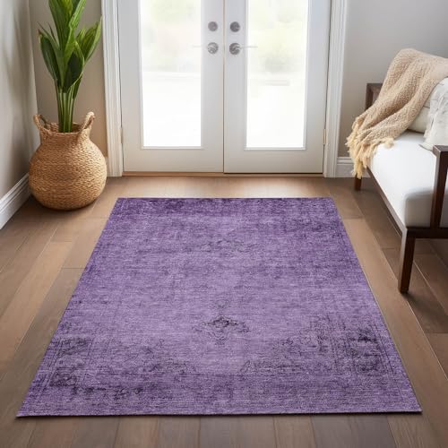 Addison Rugs Chantille ACN658 Purple 9' x 12' Indoor Outdoor Area Rug, Easy Clean, Machine Washable, Non Shedding, Bedroom, Entry, Living Room, Dining Room, Kitchen, Patio Rug