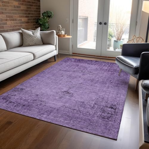 Addison Rugs Chantille ACN658 Purple 9' x 12' Indoor Outdoor Area Rug, Easy Clean, Machine Washable, Non Shedding, Bedroom, Entry, Living Room, Dining Room, Kitchen, Patio Rug