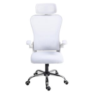 Panana Ergonomic Office Chair High Back Mesh Back Adjustable Headrest Flip-up Padded Armrest Swivel Rolling Desk Chair (White)