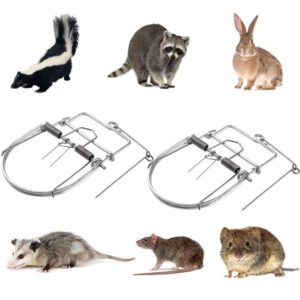 2 pack small animal traps mouse trap,spring trapt rodent cage,suit for rat,reusable