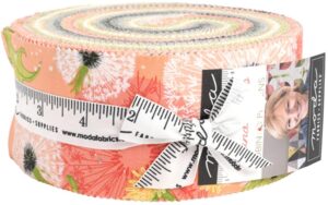 robin pickens dandi duo jelly roll 40 2.5-inch strips moda fabrics 48750jr