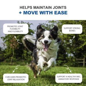 Chinichu Mobility Bites Dog Joint Supplement - Hip and Joint Chews for Dogs - Pet Products with Glucosamine, Chondroitin, & MSM + Vitamins C and E for Dog Joint Relief - Duck Flavor – 120 Count