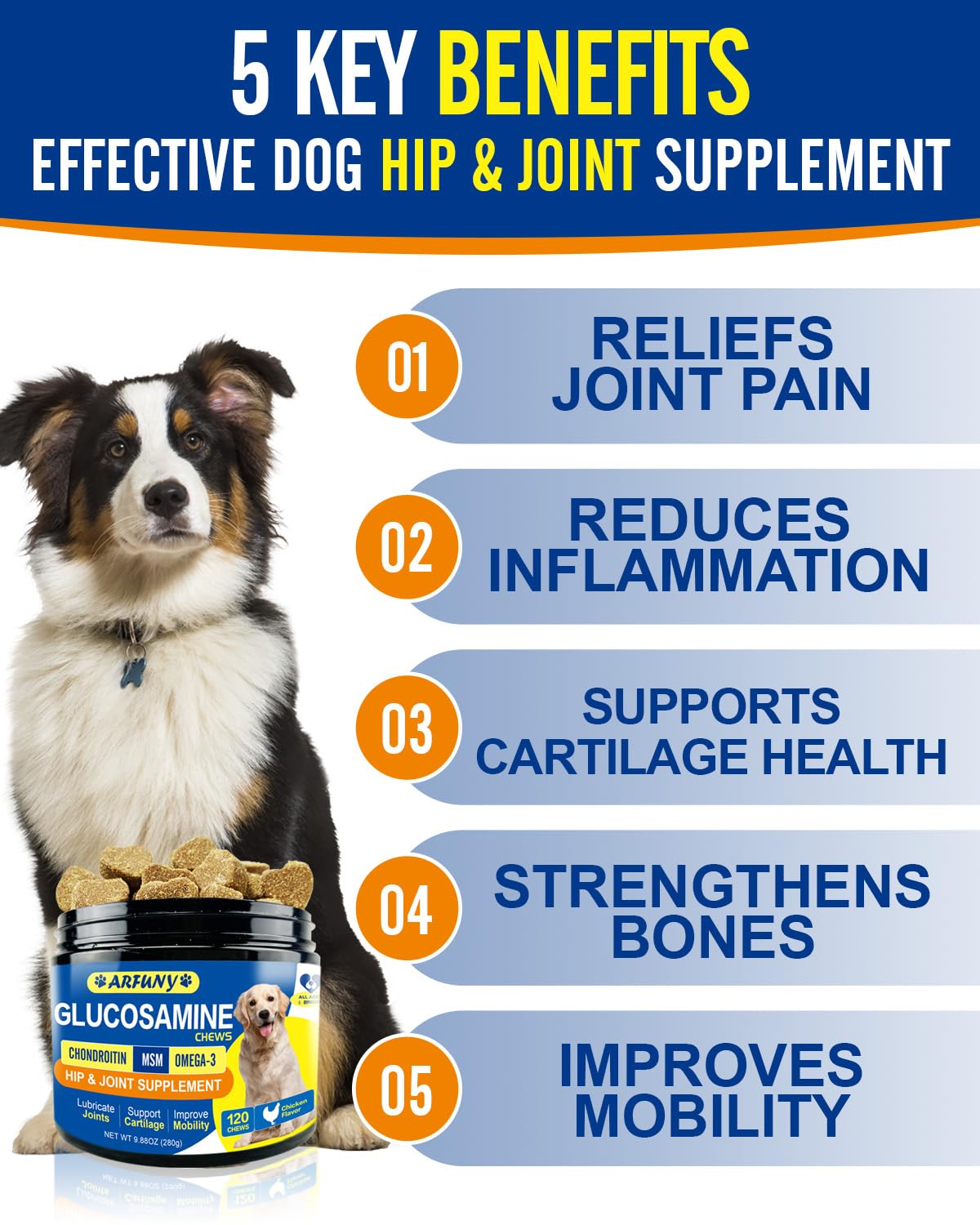 Joint Supplement For Dogs, Hip & Joint Health, Pain Relief, Mobility & Flexibility Support, Glucosamine, Chondroitin, MSM & Omega-3, Turmeric, Advanced Pet Vitamin (Chicken Flavor / 120 Chews)