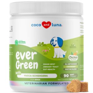 grass burn spot chew - 90 soft chews - dog pee lawn spot saver - urinary tract support, bladder support for dogs, normal urine - with probiotics and canine enzyme blend.