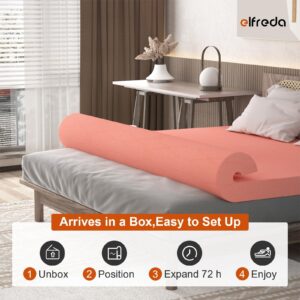 Elfreda 3 Inch Hospital Mattress Topper Pressure-Relieving Bed Topper, Mattress Pad Hospital in a Box 72 * 33 * 3 Inches